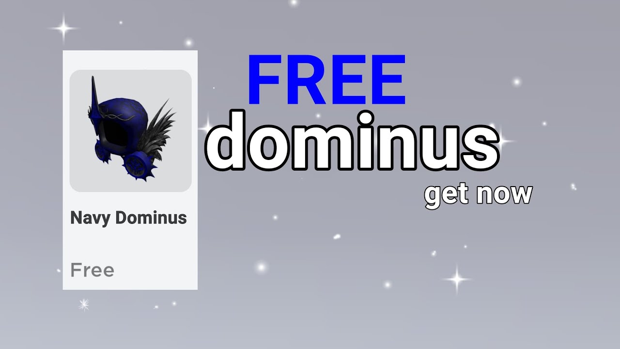 HURRY! get this Navy Dominus of Boundless Opportunities now | 2024 ...