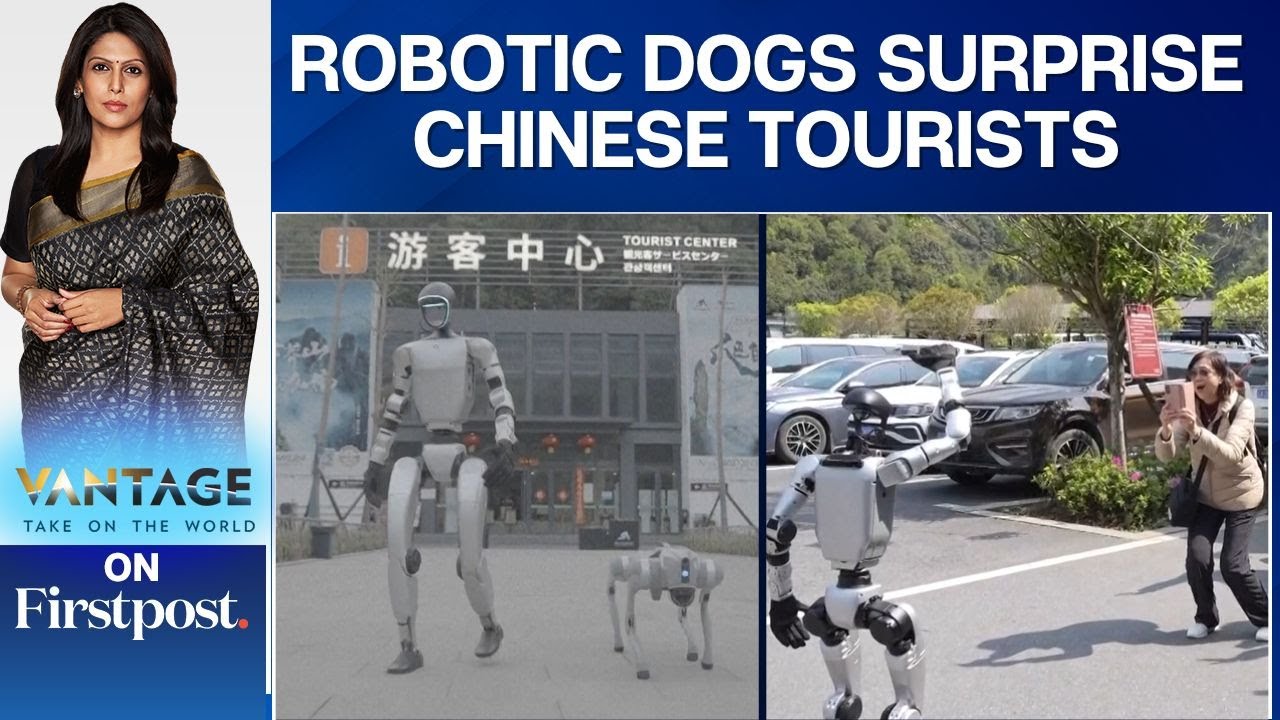 Robots Take Over Tourist Assistance at China’s Hunan Province | Vantage ...