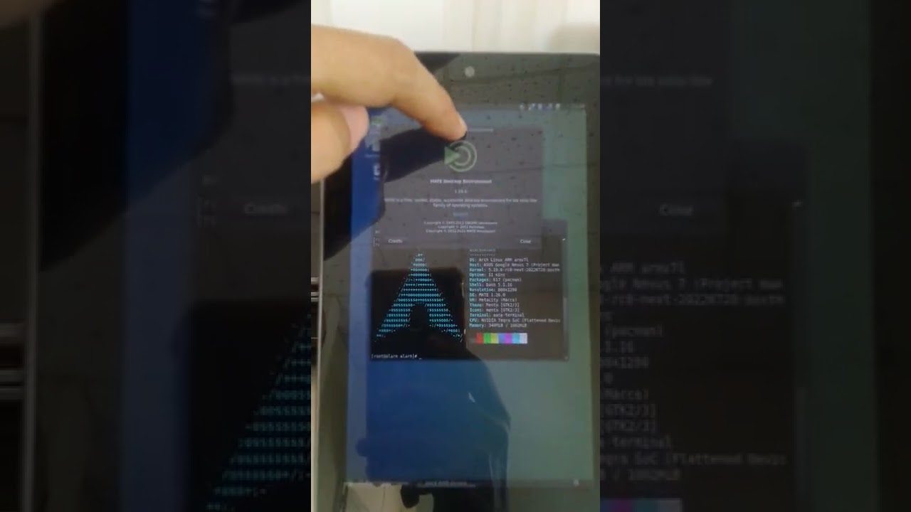 ArchLinux ARM on Nexus 7 2012 grouper rev.E1565 MATE ttyescape kernel-5 ...