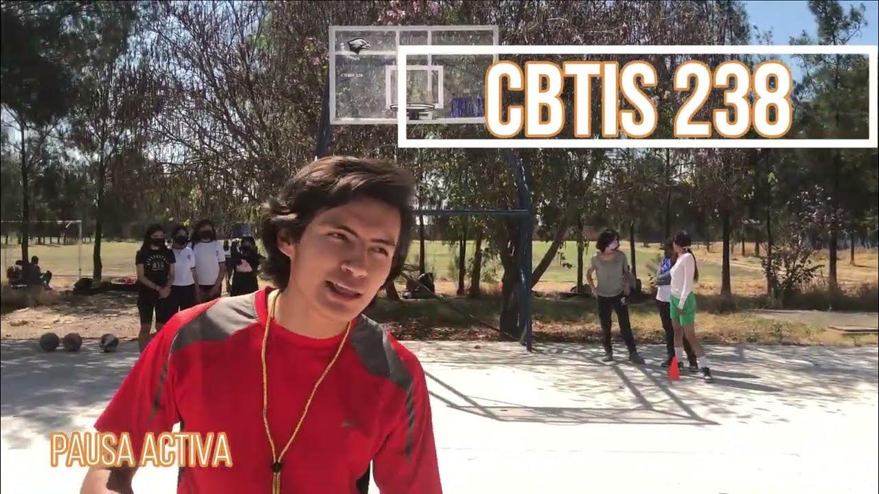 Pausa activa CBTis 238 - YouTube