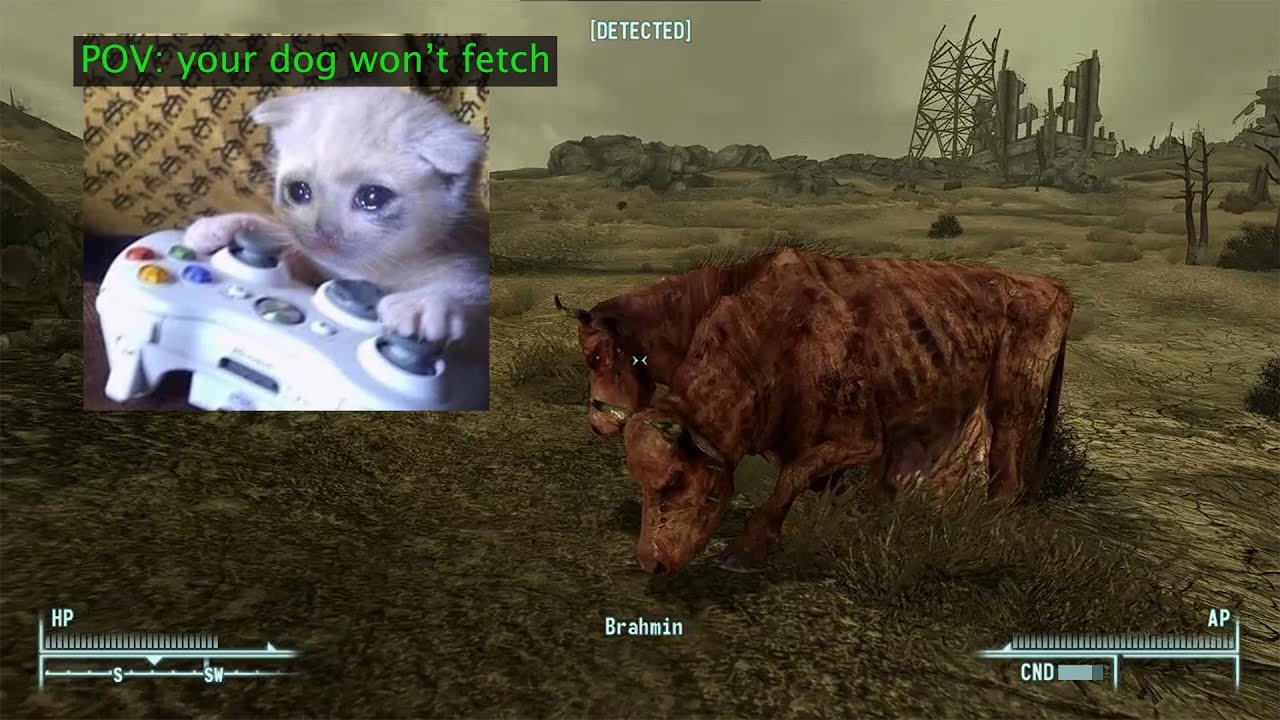 Broken Dog - YouTube