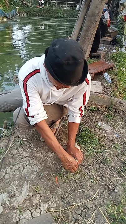 TEKNIK MANCING IKAN MAS - YouTube