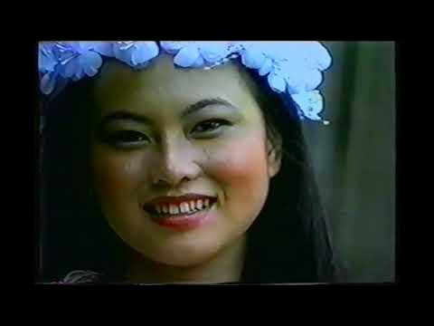 hmong movie classics Kev Hlub Nyob Qhov Twg Pt 2 - YouTube