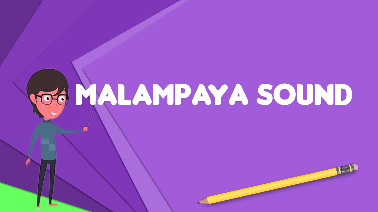 What is Malampaya Sound? Explain Malampaya Sound, Define Malampaya ...