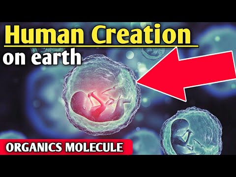 History of human creation on earth|secret story about human evolution ...