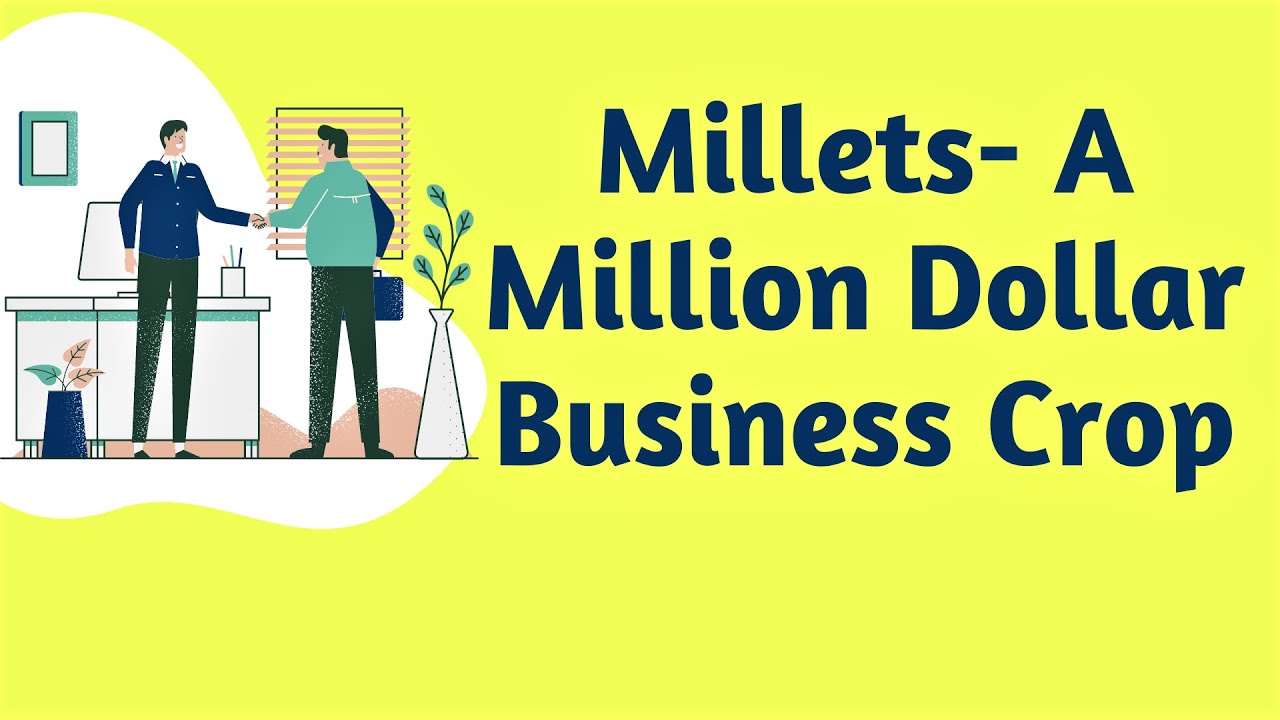 Millets-A Million Dollar Business Crop, Profitable AgriBusiness Idea ...