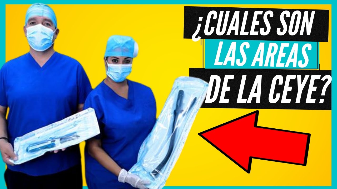 ¿Cuáles son las áreas del CEYE? | Caracteristicas de la CEYE/RESUMEN!!! - YouTube