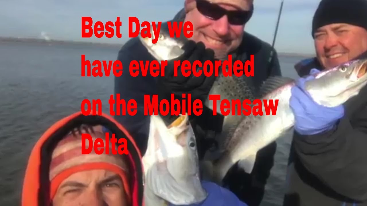 The BEST Mobile Tensaw Delta speckled trout and redfish - YouTube