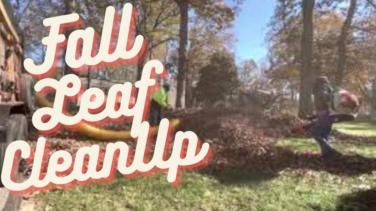Satisfying Fall Leaf Clean UP - YouTube