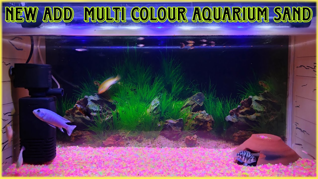 New Add Multi Color Aquarium Sand | Beautiful Aquarium | - YouTube