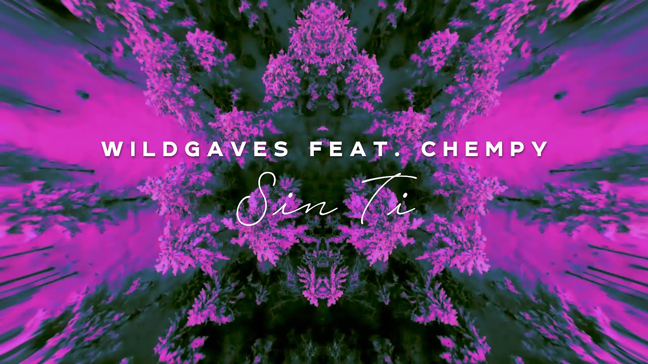 WildGaves, Chempy - Sin Ti (Official Lyric Video) [Sub Español] - YouTube