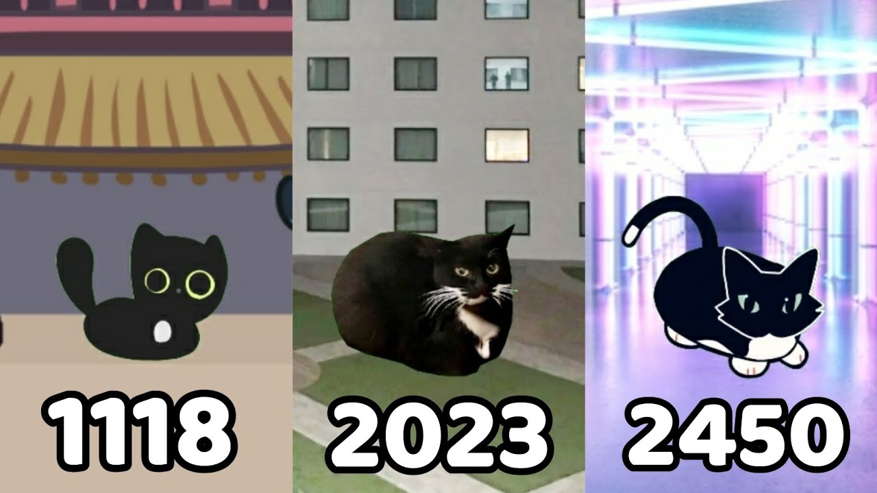 Maxwell the Cat Dance in Different years part 6 - YouTube