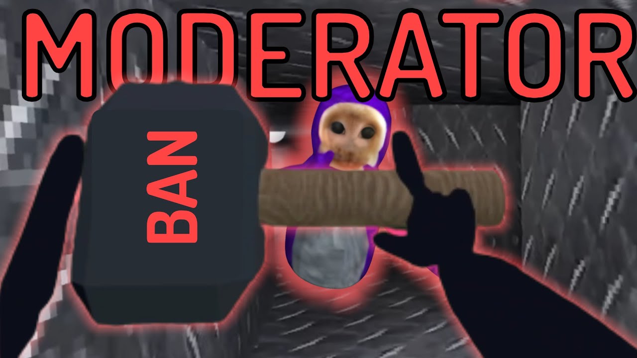 I Finally Got MODERATOR!! - YouTube