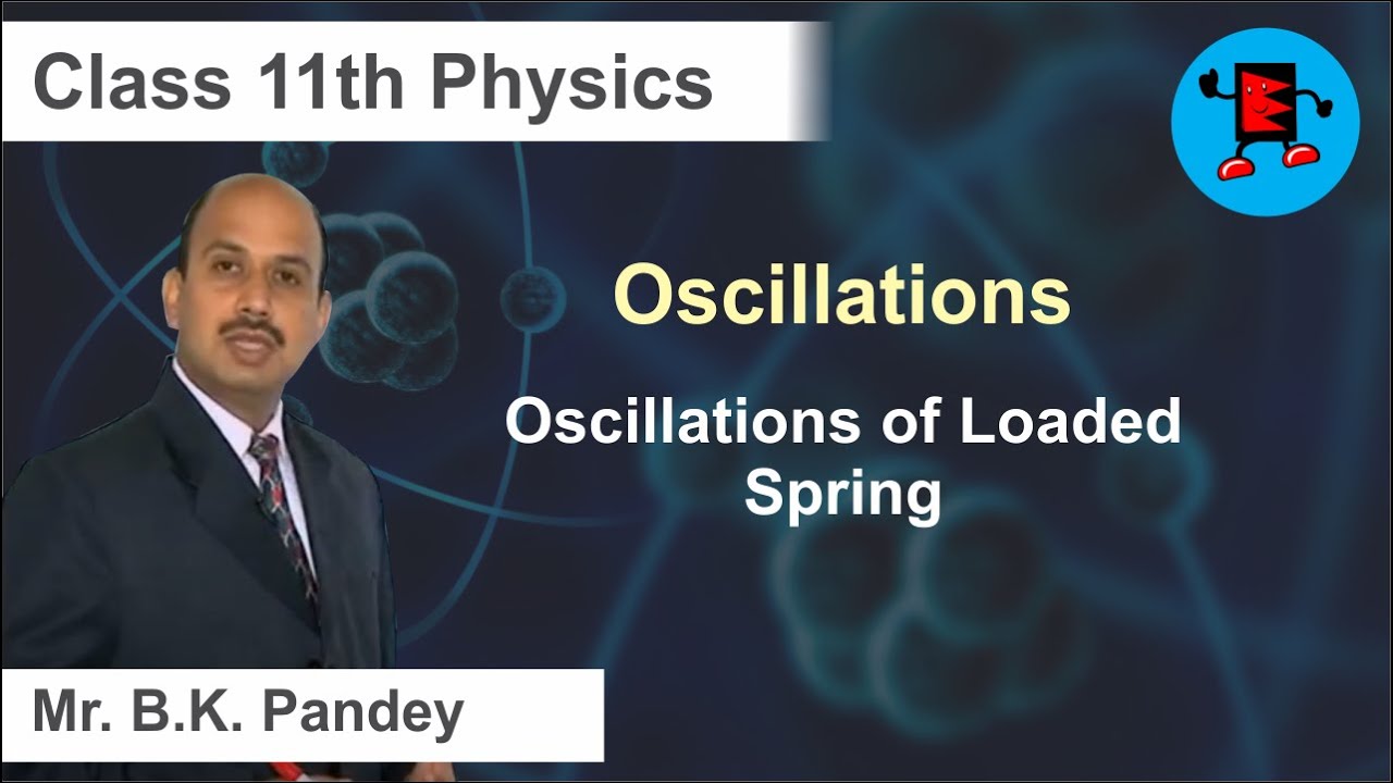 CBSE Class 11 Physics Oscillations Oscillations of Loaded Spring ...