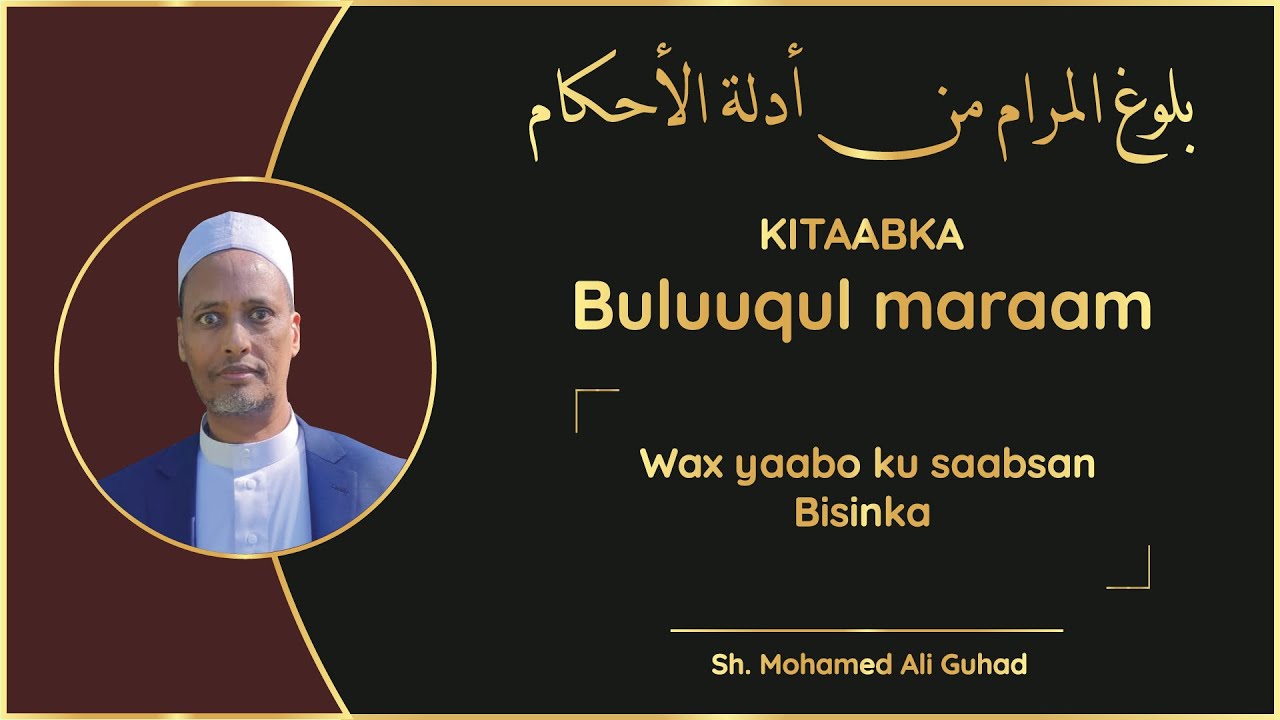 1. Buluuqul maraam| Wax yaabo ku saabsa Bisinka - YouTube