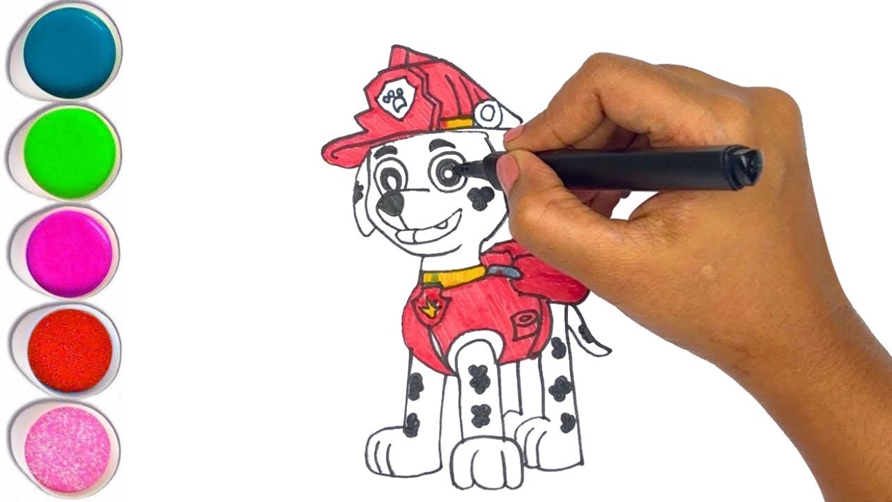 Paw Patrol Marshall Drawing and Coloring | How to Draw Paw Patrol ...