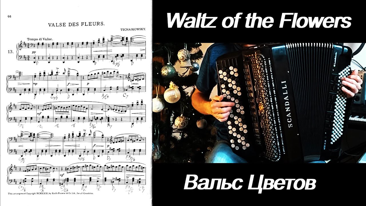 Waltz of the Flowers - Tchaikovsky Вальс цветов - YouTube