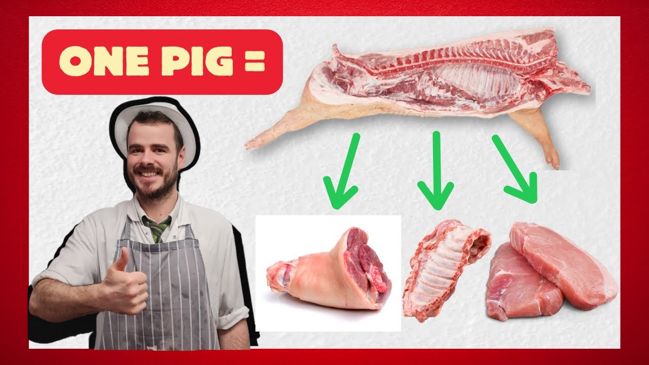 Pig Breakdown - Behind-The-Scenes Butchery #howto #bts - YouTube