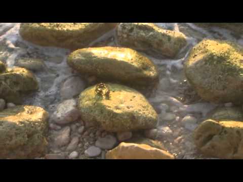MY WAY By Ghassan Abed - YouTube