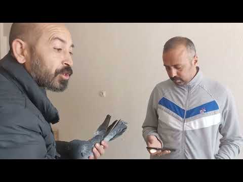 eskilerin eskisi şeref ağalar