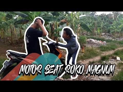 Comedy | Cowo beat Roko Magnum - YouTube
