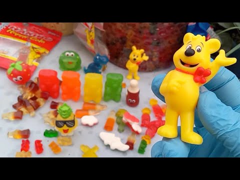 Candy Insanity! Happy Gummi Bear Day! - YouTube