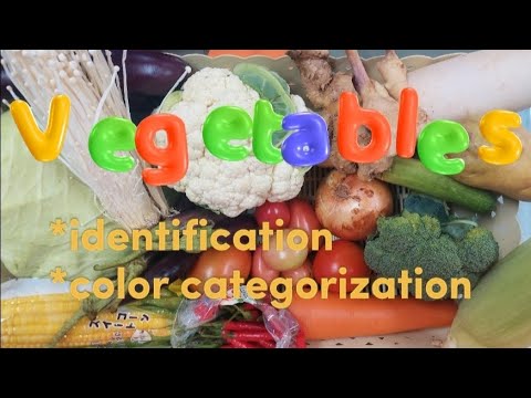 Vegetables identification & color categorization🥰 2023 - YouTube