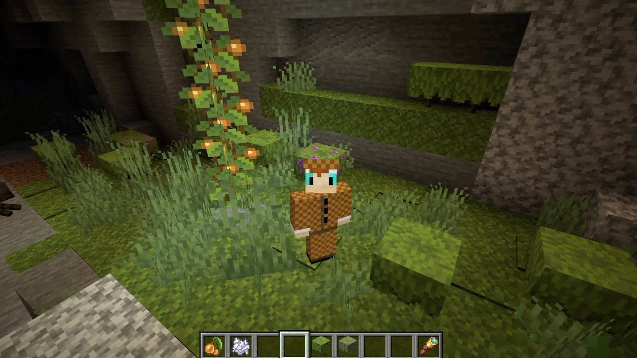 Lush Caves! Snapshot 21w10a - YouTube