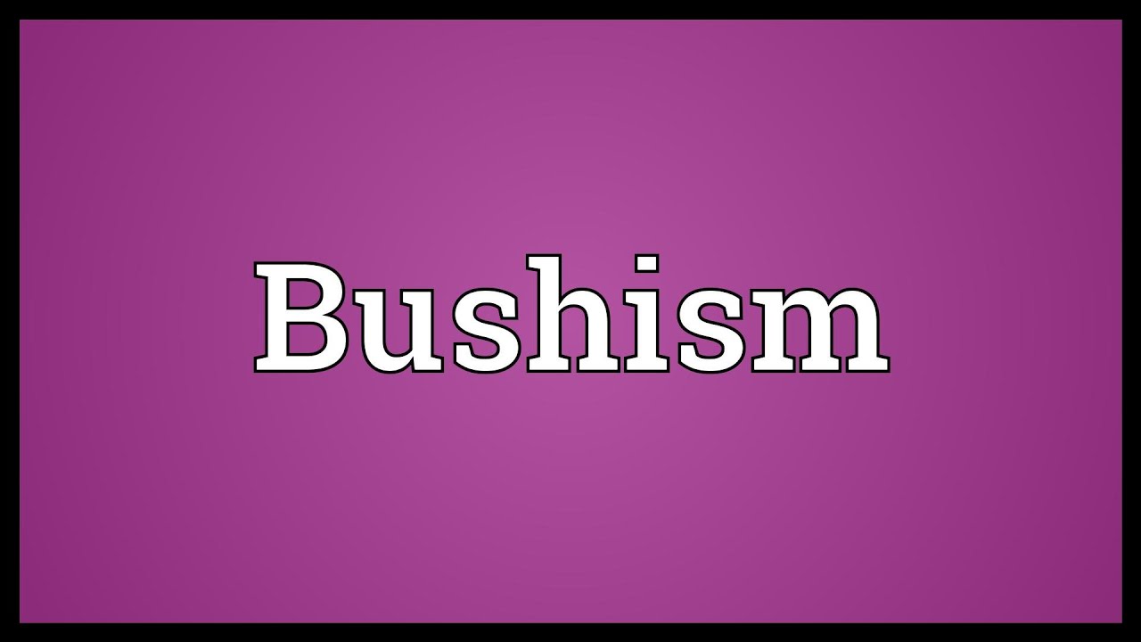 Bushism Meaning - YouTube
