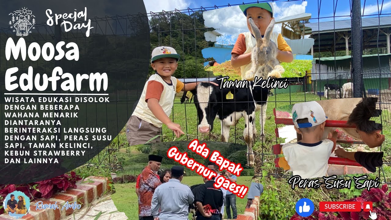 DAIMA MOOSA EDUFARM REKOMENDASI WISATA EDUKASI DI SOLOK BAGUS UNTUK KELUARGA - YouTube