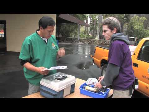 Los Angeles Zoo Quarantine Release - YouTube