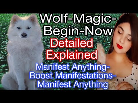 WOLF-MAGIC-BEGIN-NOW SWITCHWORD MEANING,HOW TO USE-MANIFEST ANYTHING ...