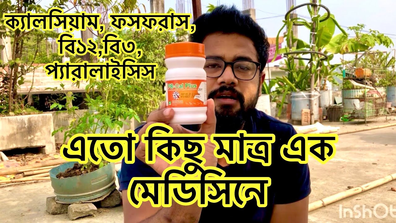PB Cal Plus-ACI | কবুতরের জন্য পরীক্ষিত ক্যালসিয়াম - কবুতরের ...