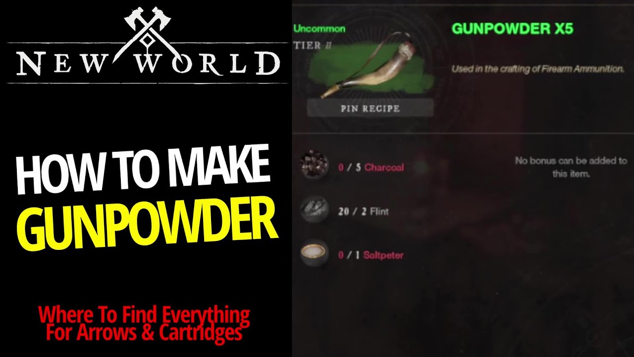 Beginners Guide To Ammunition - New World - YouTube