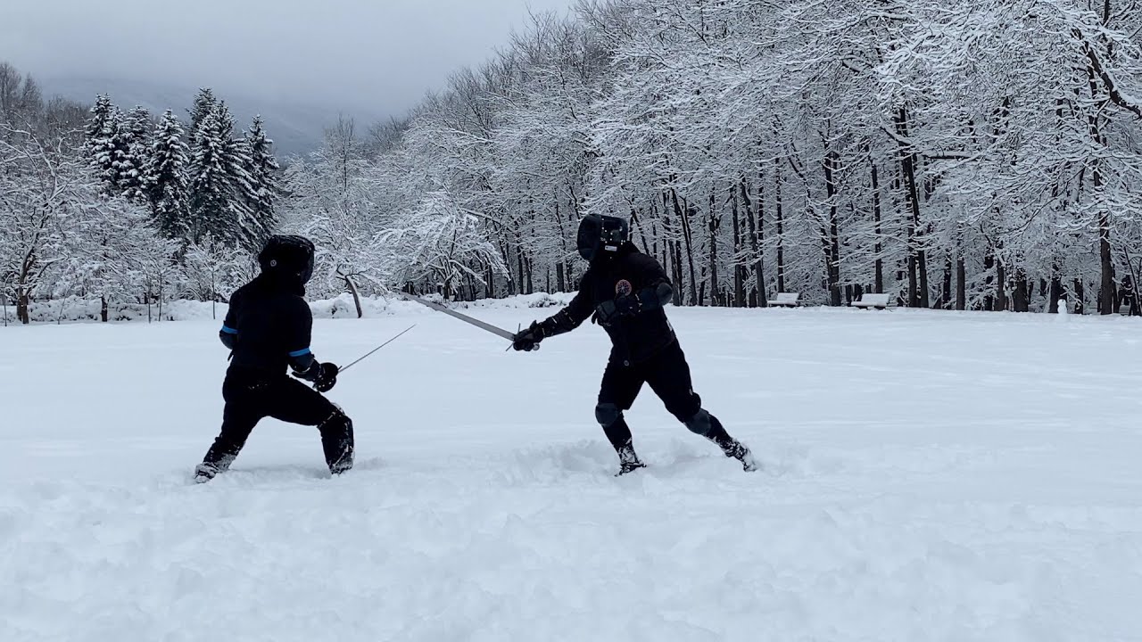 Snow fencing memories - HEMA sword and buckler - YouTube