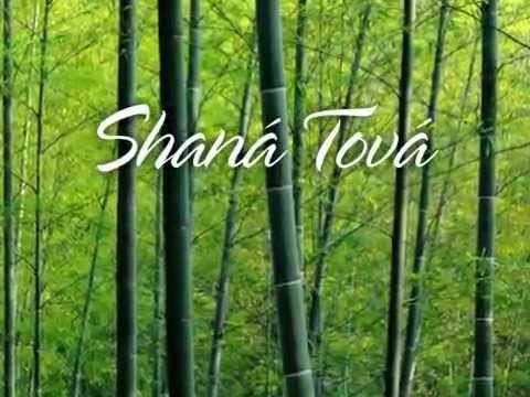 EL Bambu Chino - YouTube