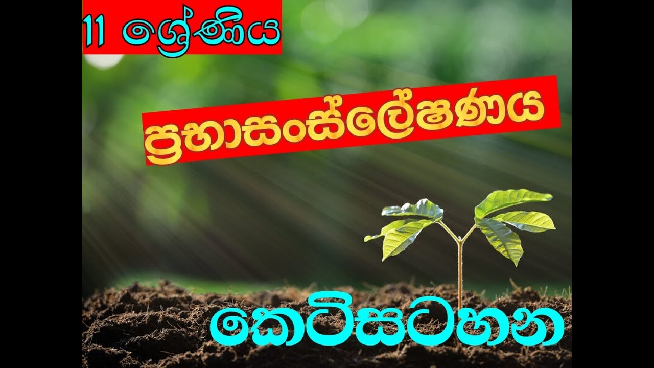 prabasansleshanaya-ප්‍රභාසංස්ලේෂණය- short note - YouTube