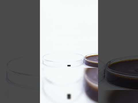 The Aromatic Powerhouse - Caryophylli Flos Essential Oil - YouTube