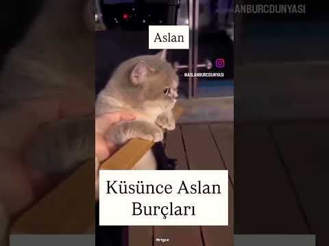 Küsünce Ben....