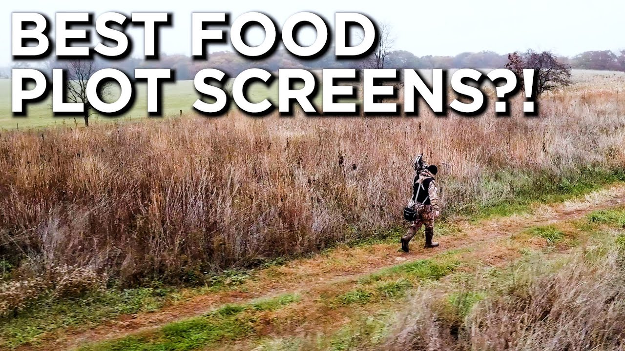 The BEST Screens For Food Plots?!? | It's Not What You Think! - YouTube