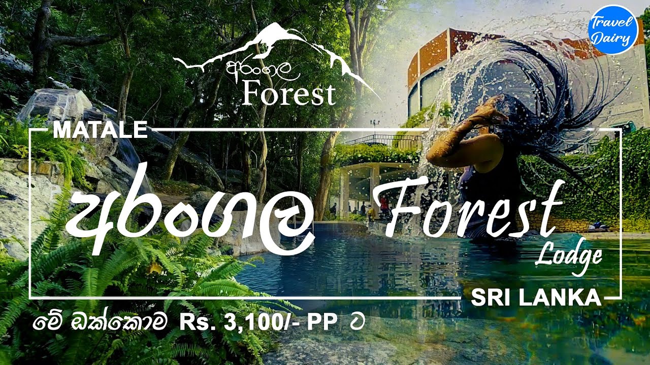 Day in a Forest hotel | Arangala forest lodge | අරංගල | Sri Lanka ...