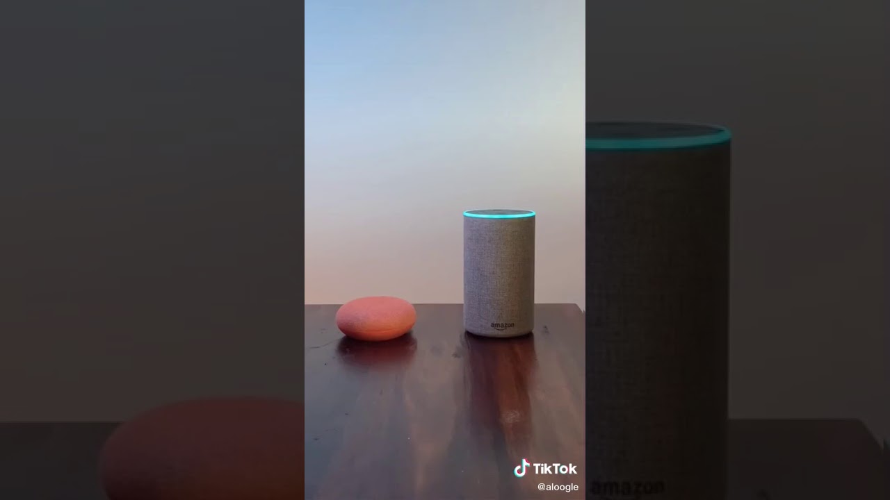 Google talking to Alexa - YouTube