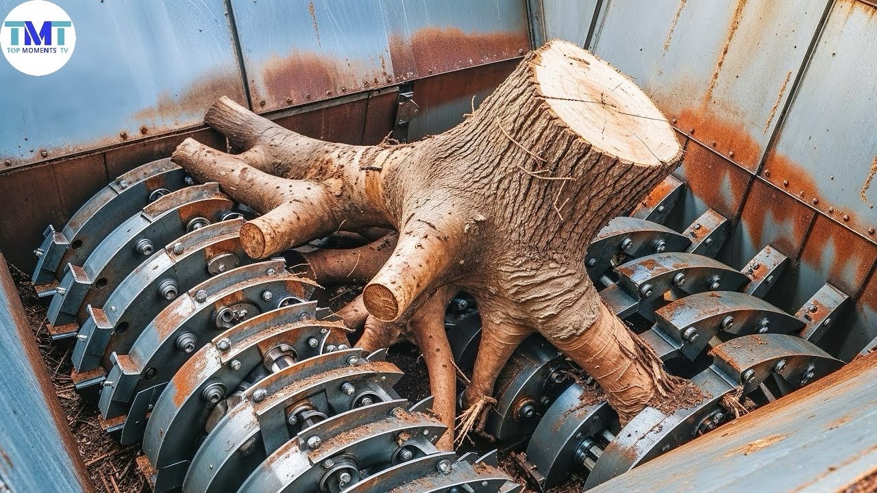 Most Insane Shredding Machines That Destroy Everything | Fastest Car ...