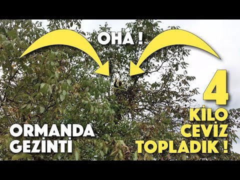 ORMANDA GEZİNTİ VE KEŞİF ! ( KÖY HAYATI )-2