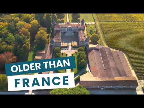 A Vineyard Older Than France - 2,000 Years of Survival