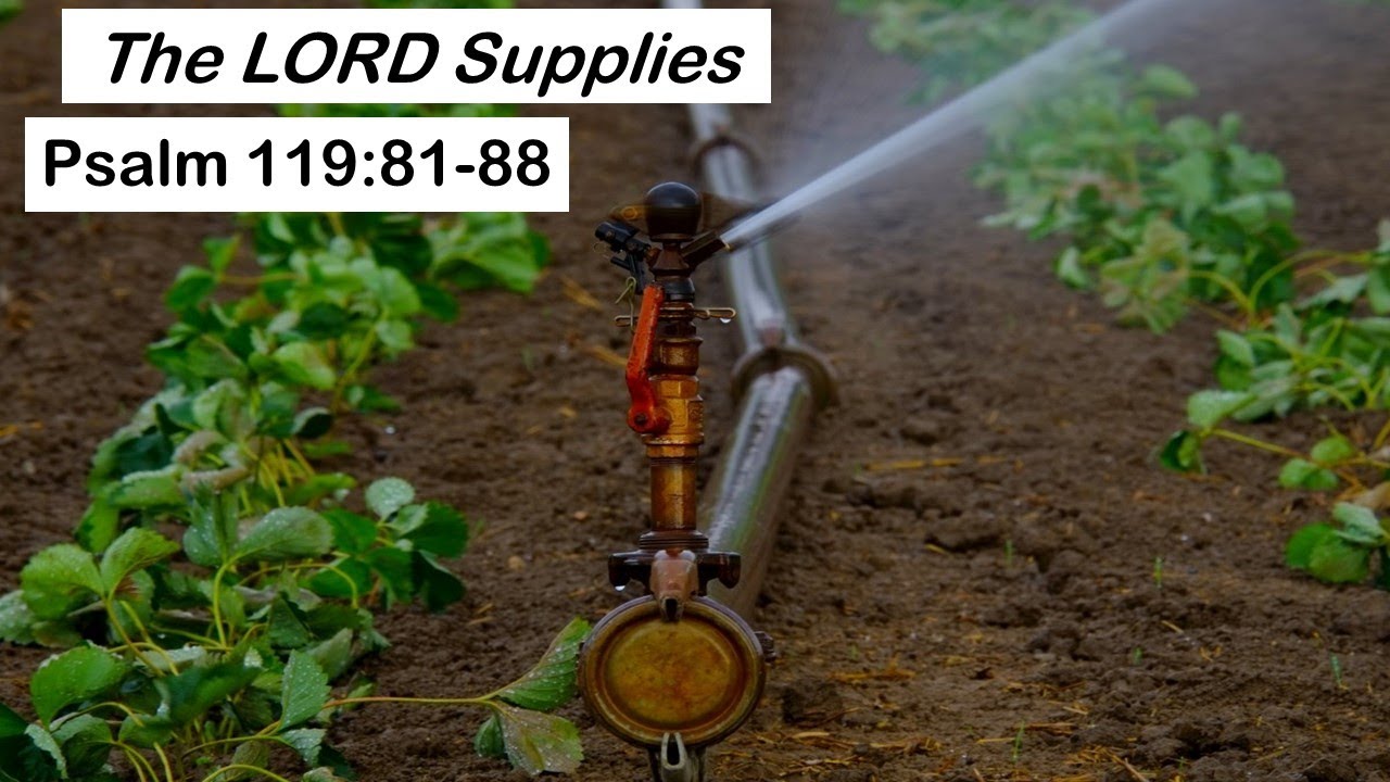Psalm 119:81-88: The LORD Supplies - YouTube