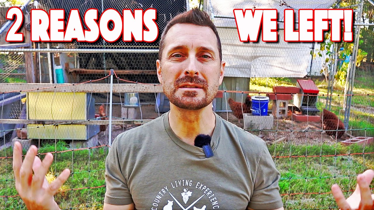 Escaping The City For Off Grid Living! 2 Reasons We Did It! Our Story ...