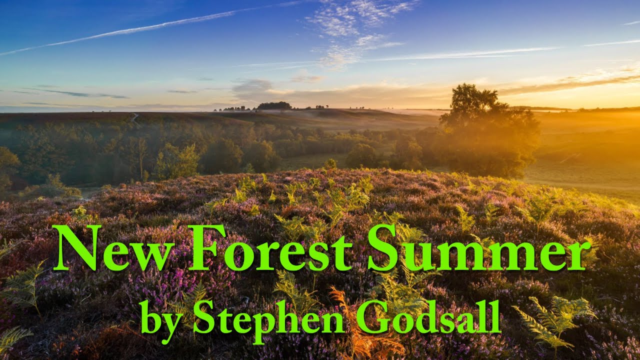 NEW FOREST SUMMER | A photo and music evocation - YouTube