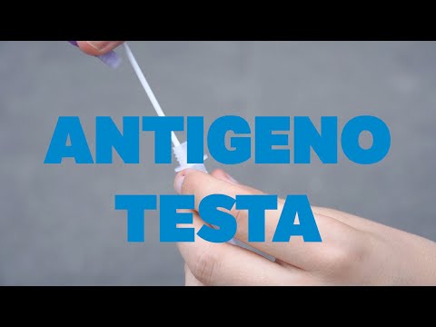Antigeno testak