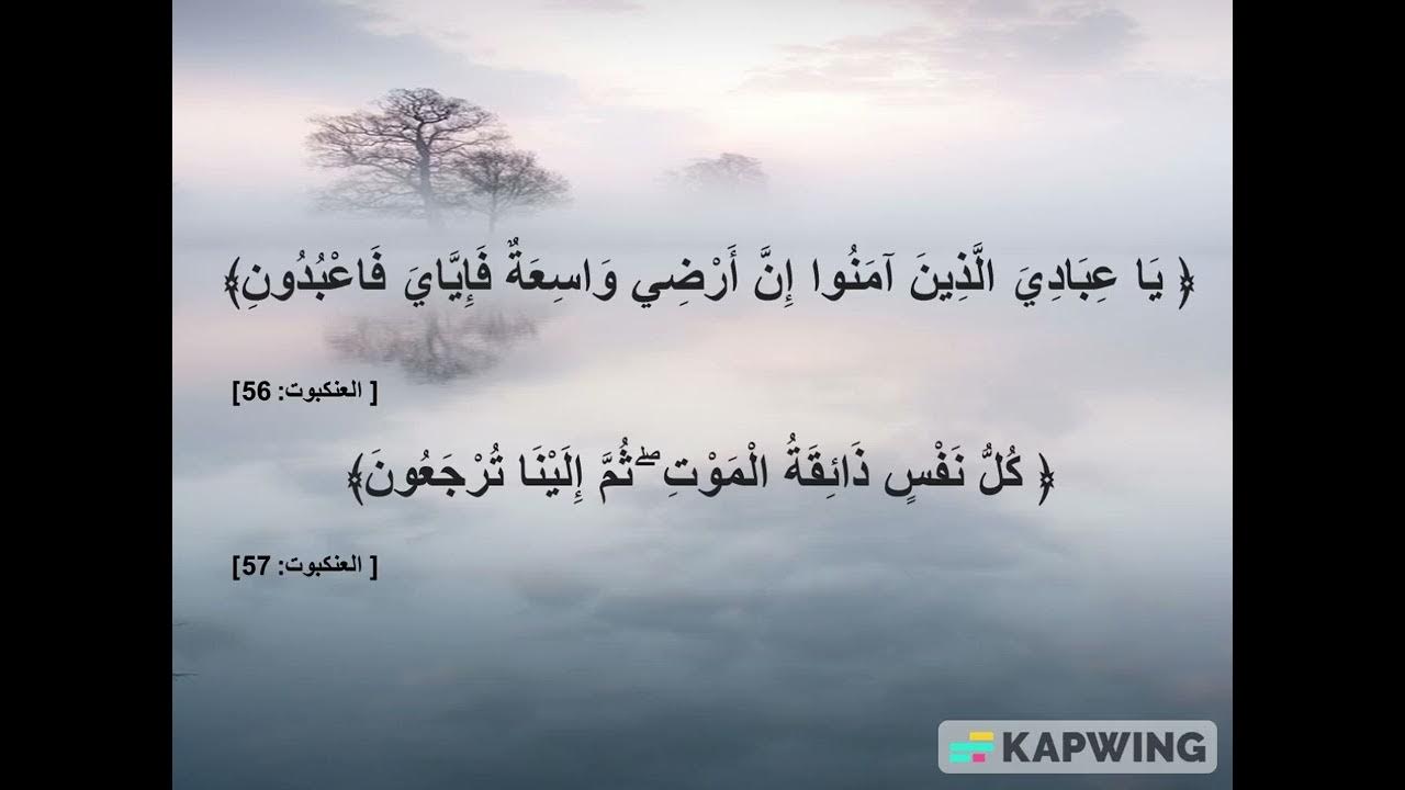 يَا عِبَادِيَ الَّذِينَ آمَنُوا إِنَّ أَرْضِي وَاسِعَةٌ فَإِيَّايَ